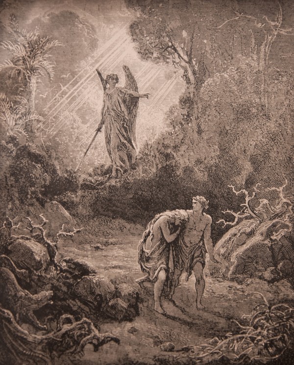 Church Doctrine 02, The Fall of Humanity, Intermediate Level 200 ...